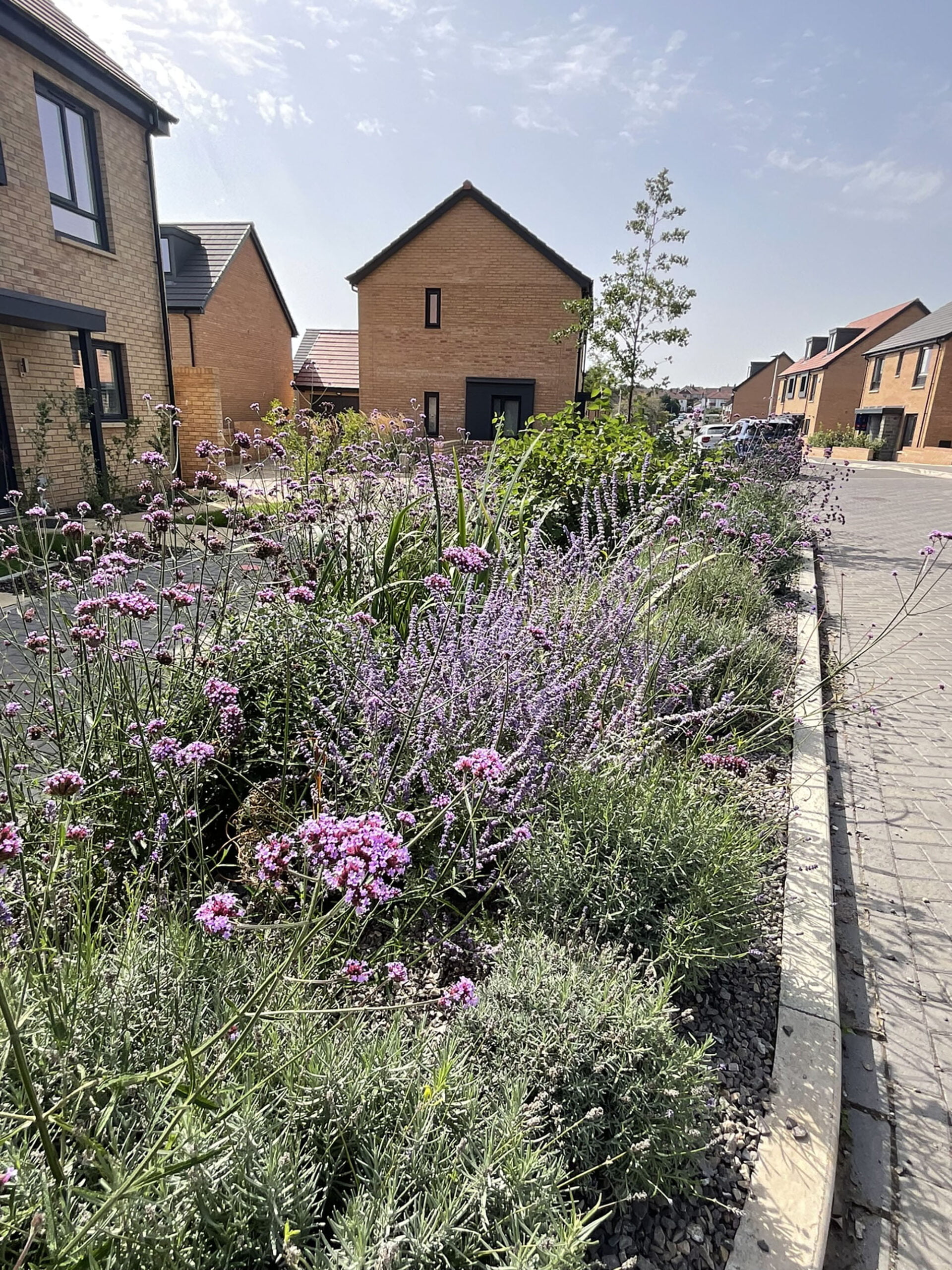 Howardian Centre, Cardiff - Tir Collective